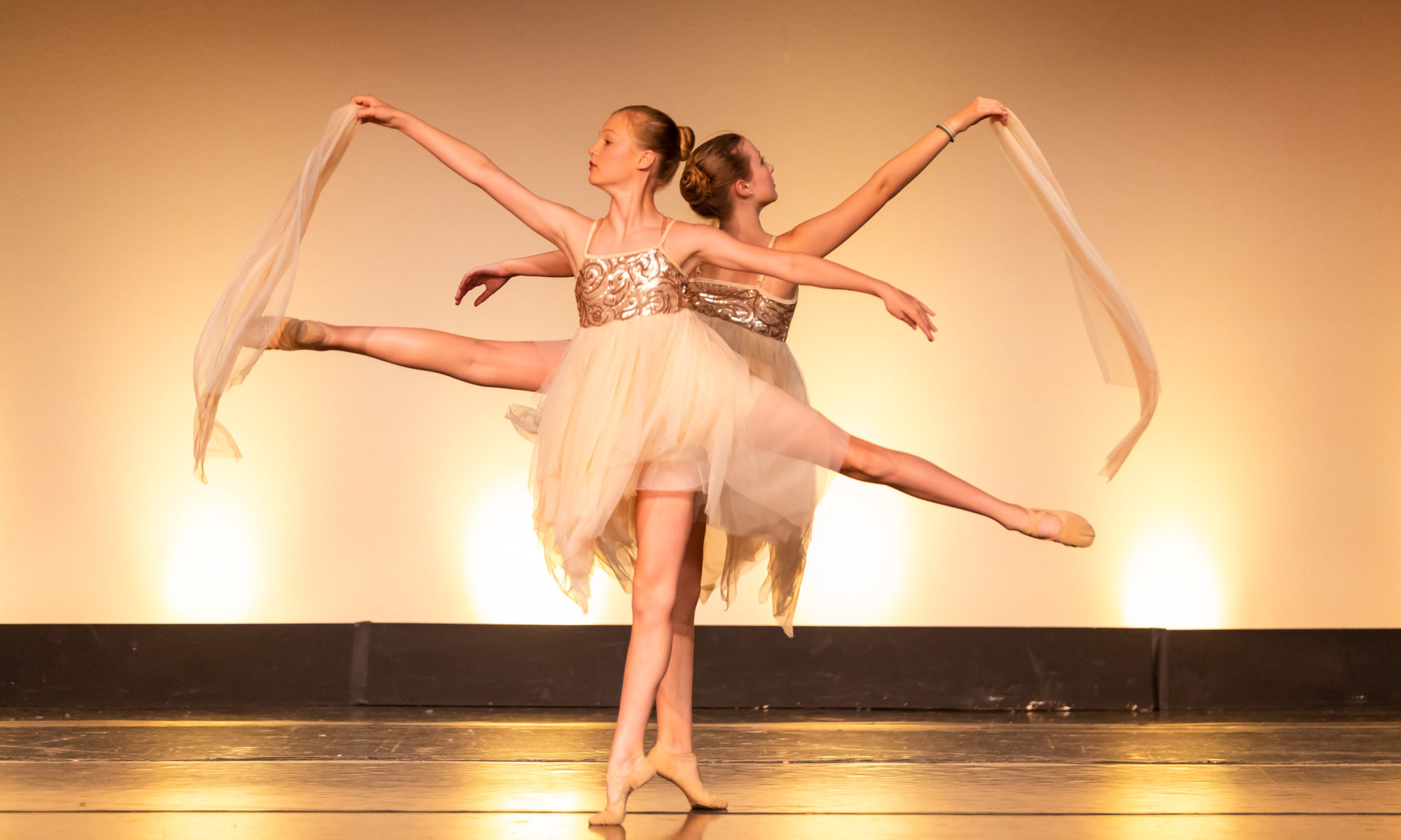 Buy Tickets – Wayne Ballet